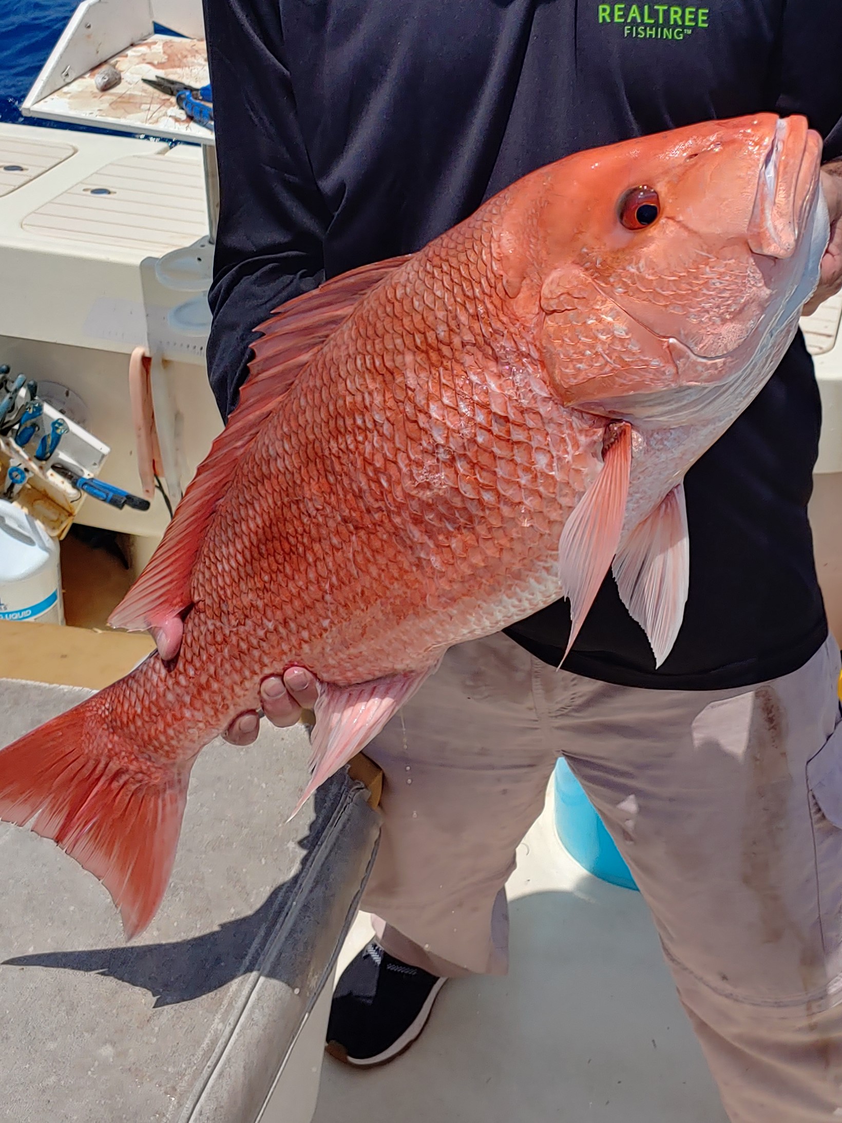 American Red Snapper – Snapperzz.com
