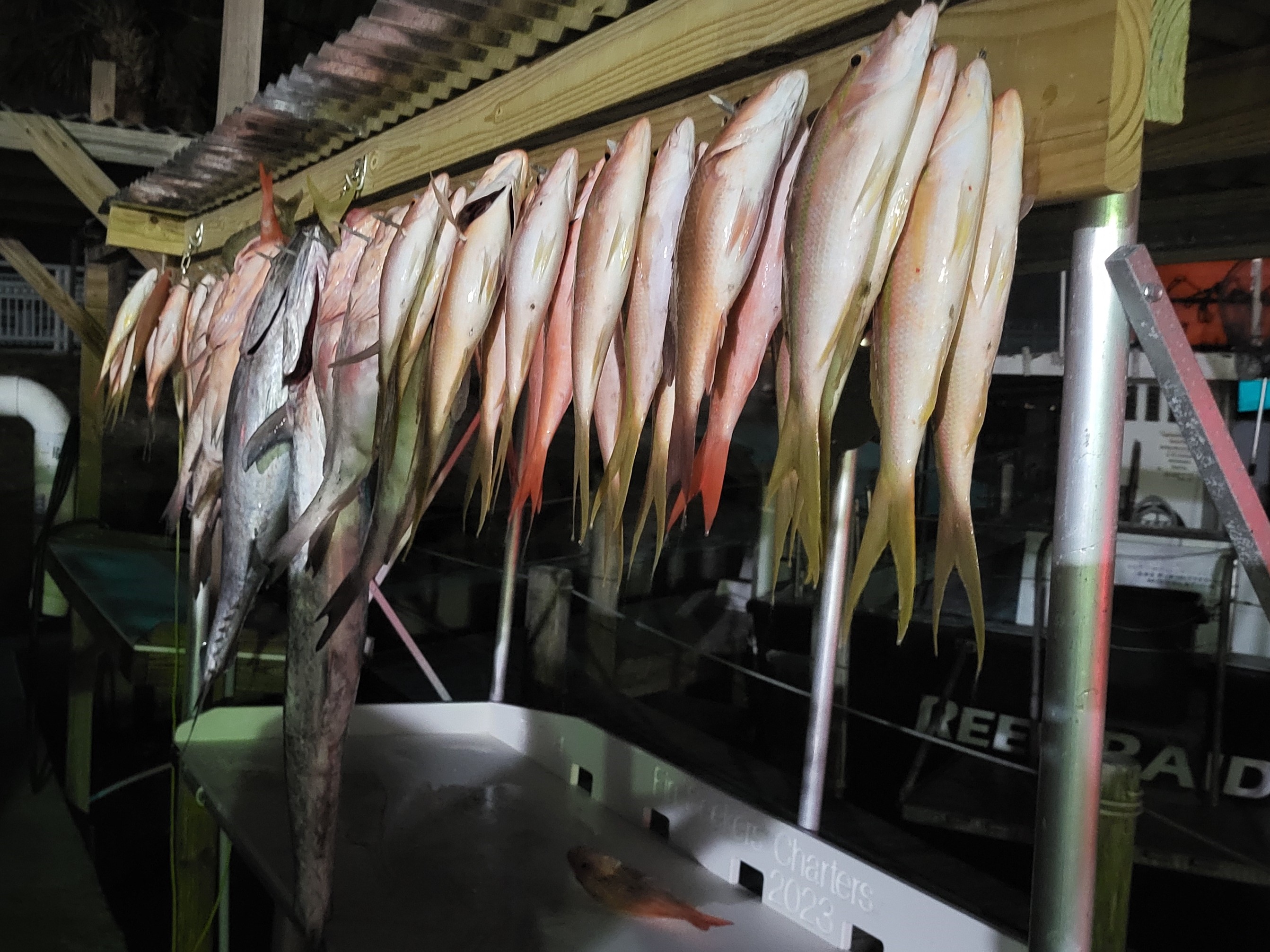 rack-of-snaps – Snapperzz.com