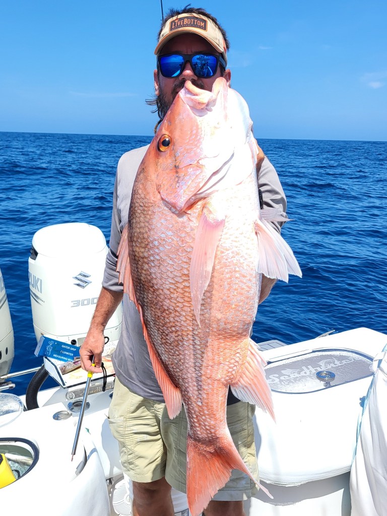 American Red Snapper – Snapperzz.com