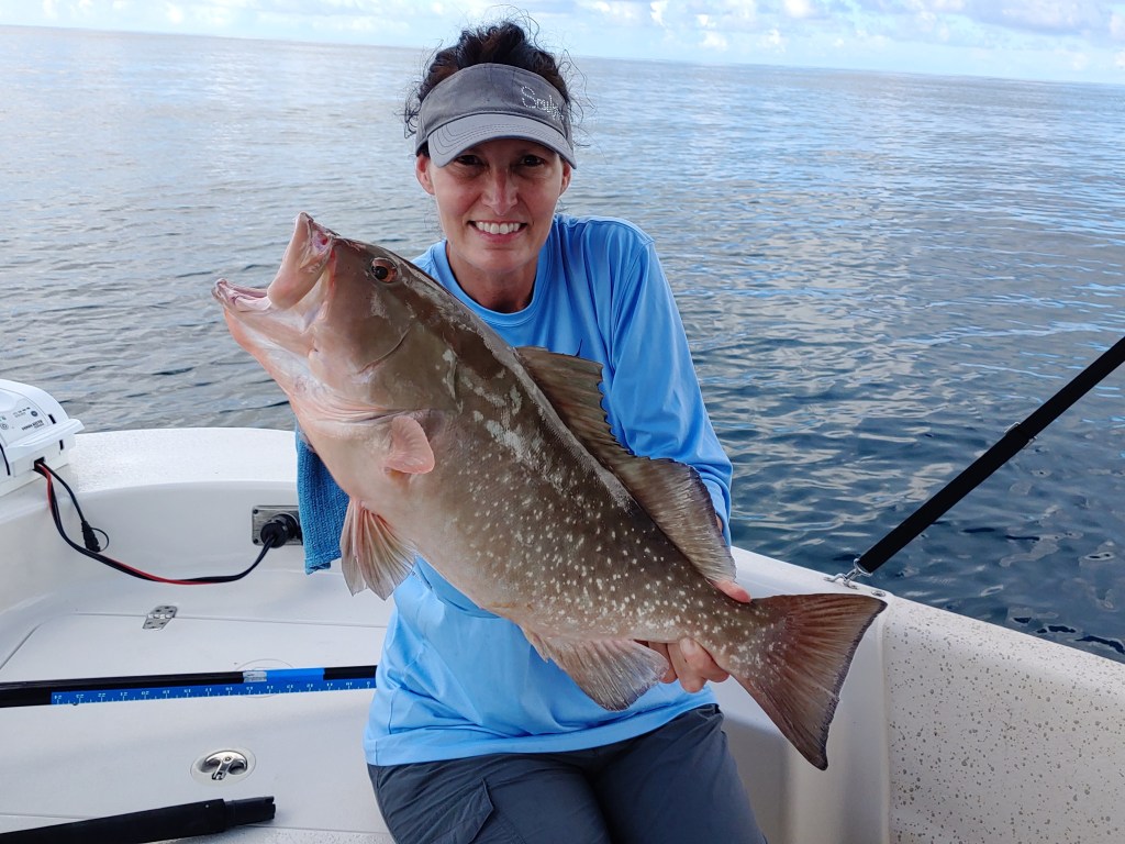 Nearshore Snapper Grouper And More Snapperzz