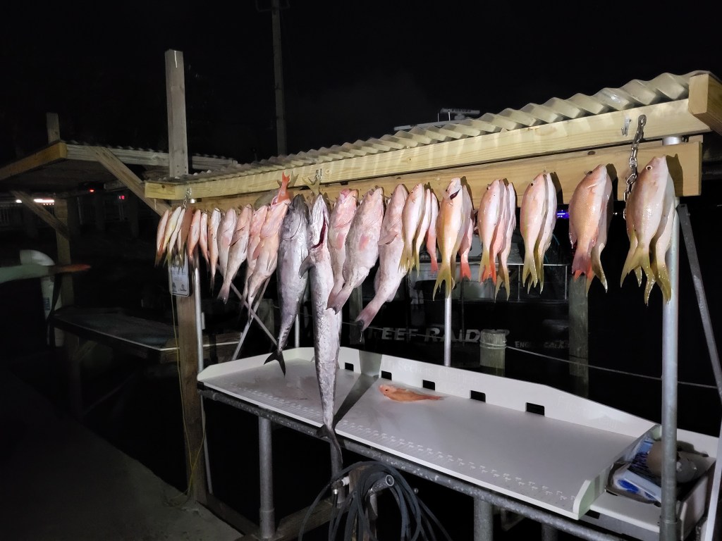 Bucket List African Pompano – Snapperzz.com