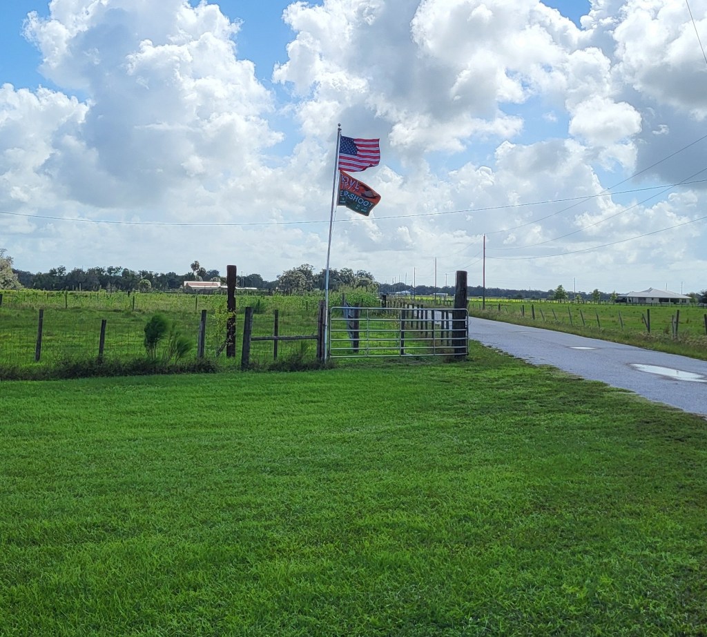 Fish, Hunt, Fish? – Snapperzz.com